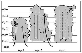 Module 1, Part 2, Lesson 1